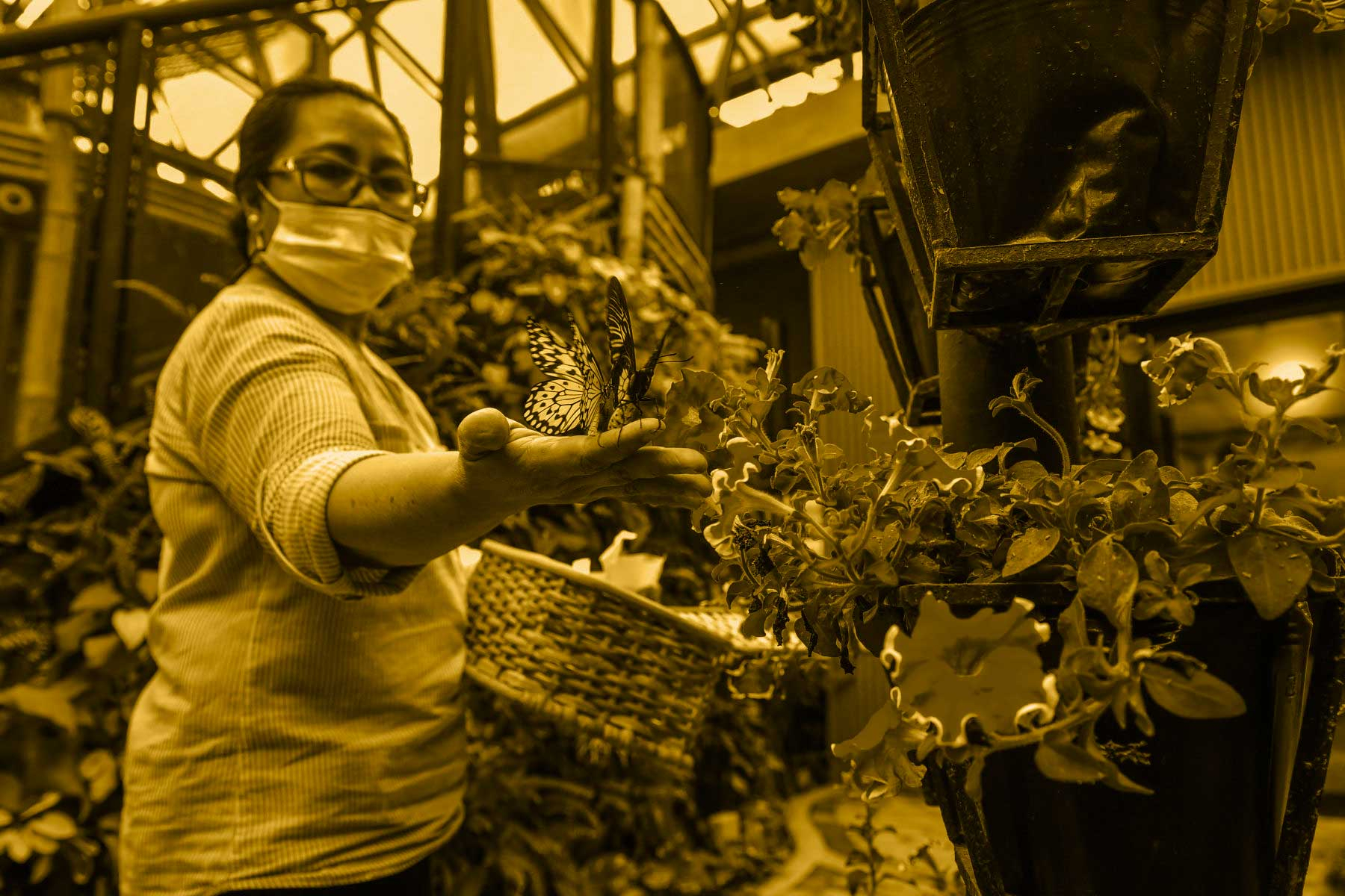 Social Impact through Employee Engagement - Creating Impact-Driven ... Social Impact through Employee Engagement - Creating Impact-Driven ...